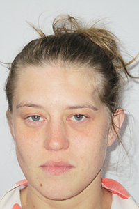 Sheriff: Ohio couple arrested in Washington Parish | The Bogalusa Daily ...