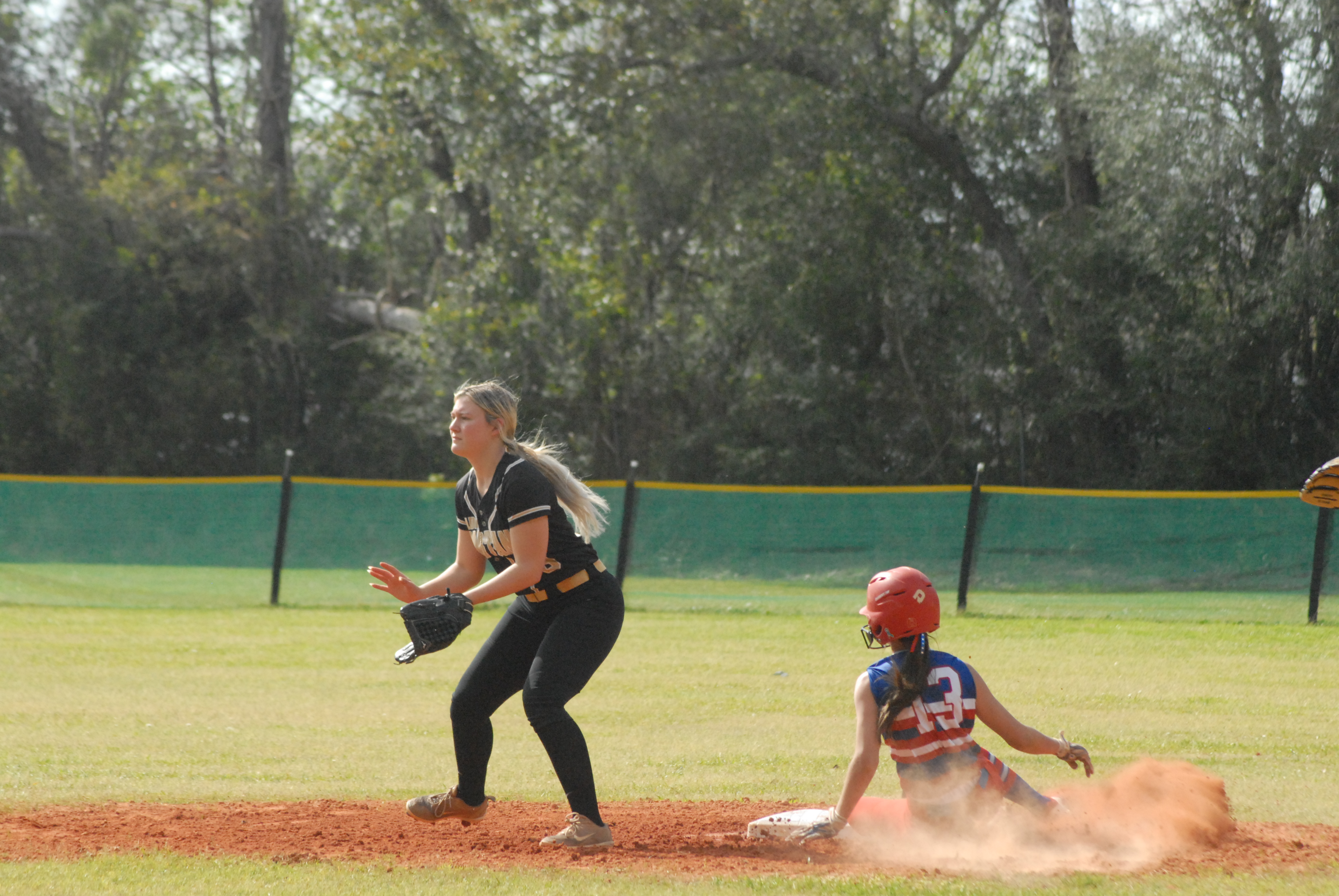 Pine tops Loranger - The Bogalusa Daily News | The Bogalusa Daily News